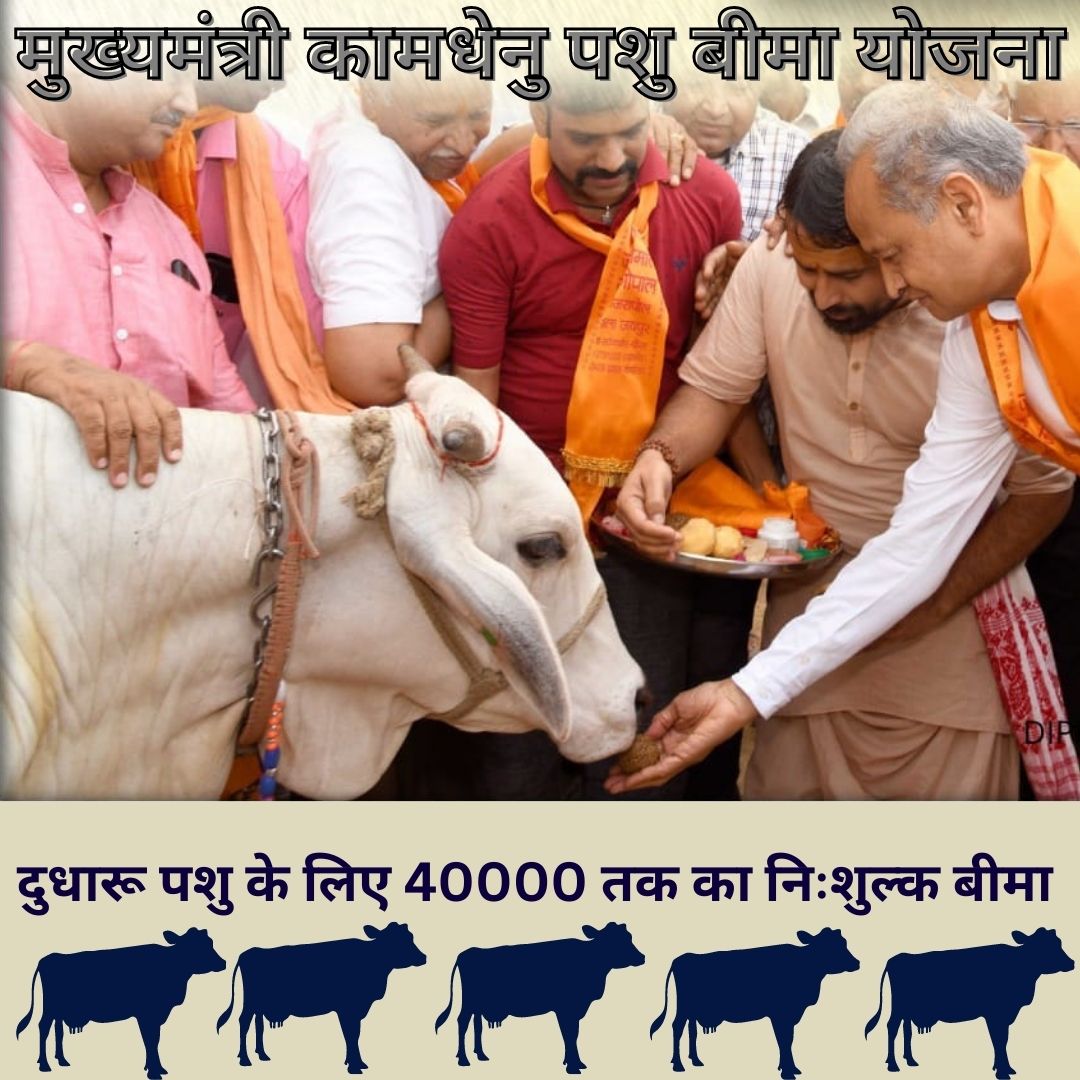Mukhyamantri Kamdhenu Pashu Bima Yojana मुख्यमंत्री कामधेनु पशु बीमा ...